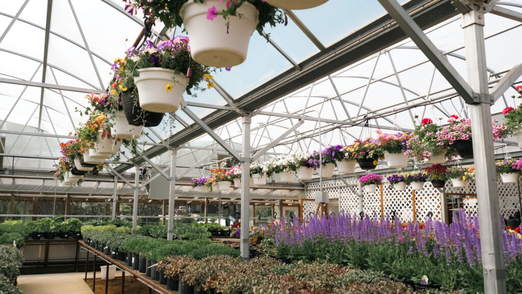 Tree Nursery and Greenhouse | Hope Farms Minnesota Nursery